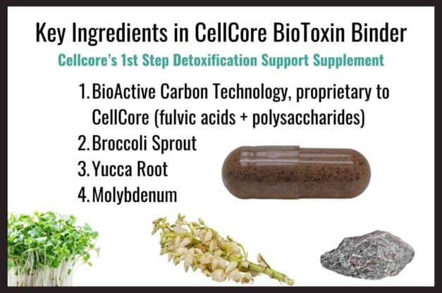 Cellcore Biotoxin Binder Capsules - Dietitian Review - FWDfuel Sports ...