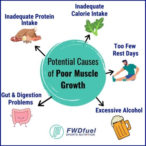 What Happens if You Don’t Get Enough Protein While Working Out? - FWDfuel
